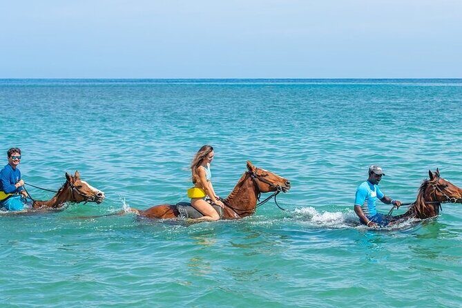 Private Horseback ride and swim in Montego Bay - Value and Practicalities