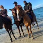 Private Horseback Riding And Ricks Cafe Tour. - Analyzing the Value