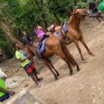 Private Horseback Riding with Blue Hole River Tour in Montego Bay - Authentic Traveler Feedback