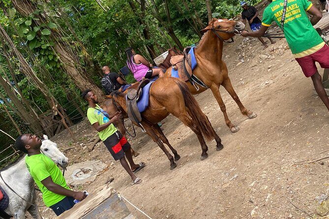 Private Horseback Riding with Blue Hole River Tour in Montego Bay - Authentic Traveler Feedback