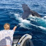 Private: Humpback Whale Encounter in Samaná Bay - Who Will Love This Tour?