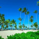 Private: Isla Saona VIP Escape Luxury Beach & Speedboat Tour - Key Points