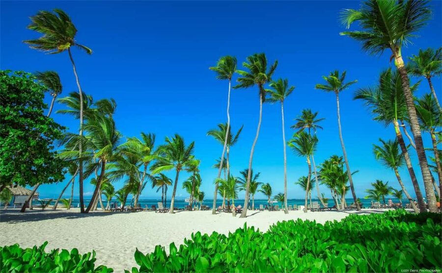 Private: Isla Saona VIP Escape Luxury Beach & Speedboat Tour - Key Points