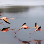 Private Island Tour with Photo Shoot Options Northern Tour - Practical Details & What to Expect