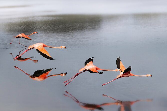 Private Island Tour with Photo Shoot Options Northern Tour - Practical Details & What to Expect