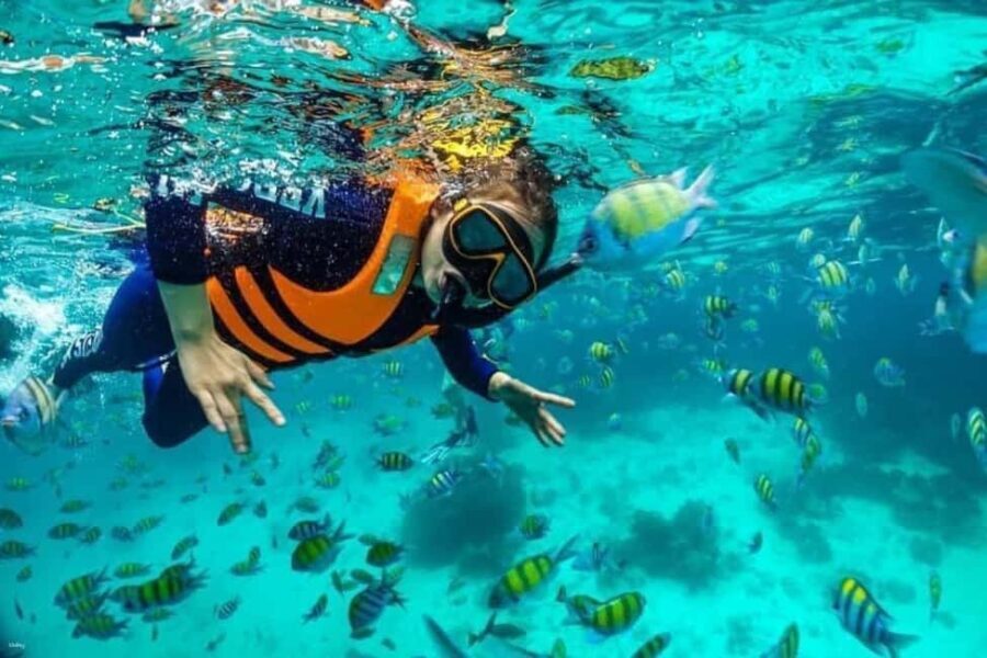 Private: Juanillo Beach & Hoyo Azul VIP Beach Club Day - Practical Details: Transportation, Timing, and Comfort