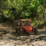Private: Jungle Buggy Zipline Combo Adventure at La Hacienda - The Value of This Adventure