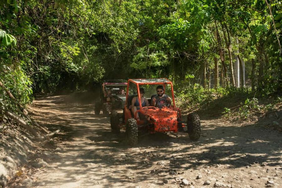 Private: Jungle Buggy Zipline Combo Adventure at La Hacienda - The Value of This Adventure