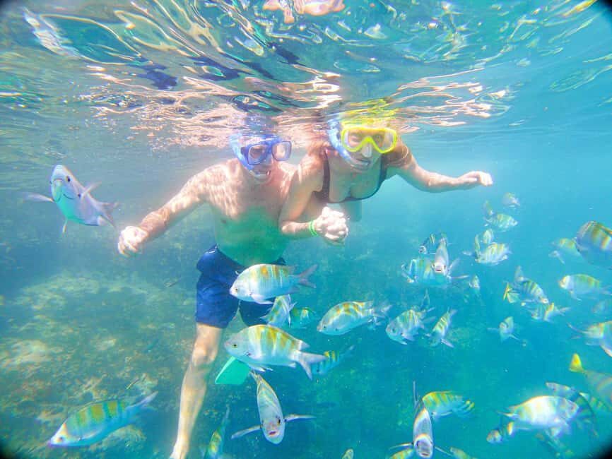 Private Junior Catamaran Tour in Punta Cana with Transportation Included - Who Should Consider This Tour?