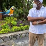 Private Konoko Falls and Dunn's River Combo Tour from Ocho Rios - The Itinerary in Detail