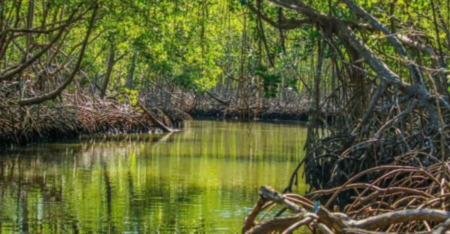 Private: Los Haitises National Park 2-Day Tour with Meals - The Itinerary in Detail