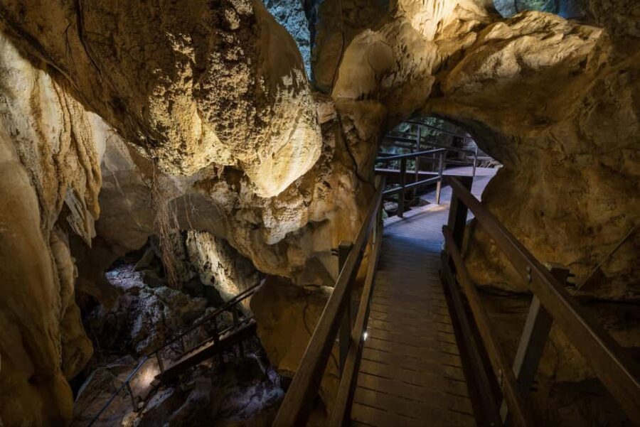 Private: Los Haitises & Redonda Mountain Day Tour - The Practicalities: Transportation, Timing, and Value