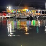 Private Luminous Lagoon Tour from Montego bay - Practical Tips for Making the Most of Your Tour