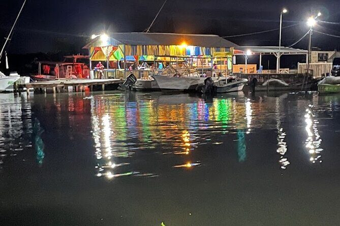 Private Luminous Lagoon Tour from Montego bay - Practical Tips for Making the Most of Your Tour