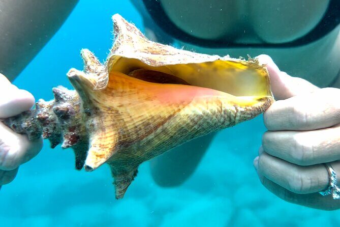 Private Luxury Catamaran Half Day Charter - The Itinerary Breakdown