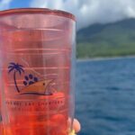 Private Luxury Full day Boat Charter With Lunch - The Experience in Practice