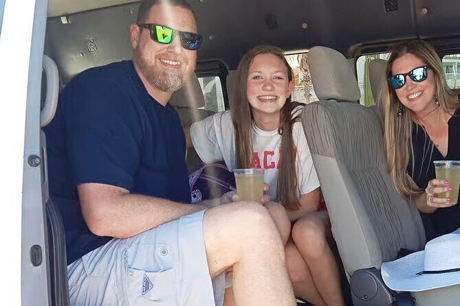 Private Minivan Transfer from Punta Cana Airport - What to Expect During Your Transfer