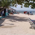 Private Montego Bay Beach Day Tour from Falmouth - What Travelers Can Expect