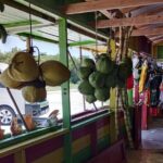 Private Montego Bay Highlights Day Tour - Who Should Consider This Tour?