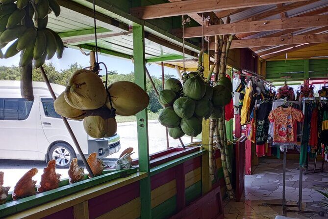 Private Montego Bay Highlights Day Tour - Who Should Consider This Tour?