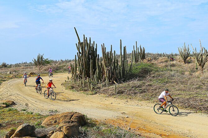 Private Mountain Bike Tour in Aruba - Who Will Love This Tour?