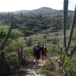 Private nature tour: Aruba's highest point & pristine coral reef - A Deep Dive into the Experience
