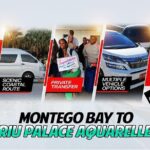 Private One-Way Airport Transfer to RIU Palace Aquarelle - Who Should Consider This Service?