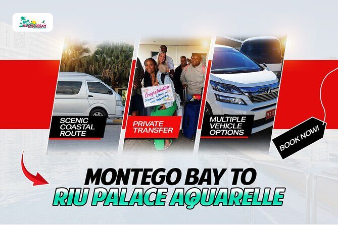 Private One-Way Airport Transfer to RIU Palace Aquarelle - Who Should Consider This Service?