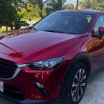 Private Pick Up or Drop Off in Aruba - What Travelers Love (and Sometimes Wish Was Different)