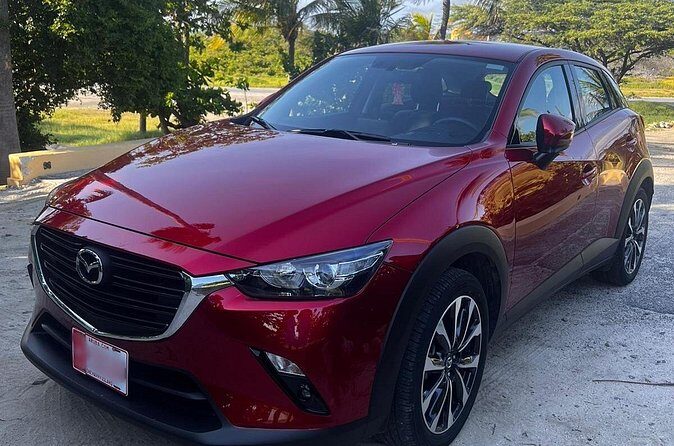 Private Pick Up or Drop Off in Aruba - What Travelers Love (and Sometimes Wish Was Different)