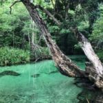 Private: Playa Rincón Samaná Levantado Full-Day Excursion - What This Tour Means for You