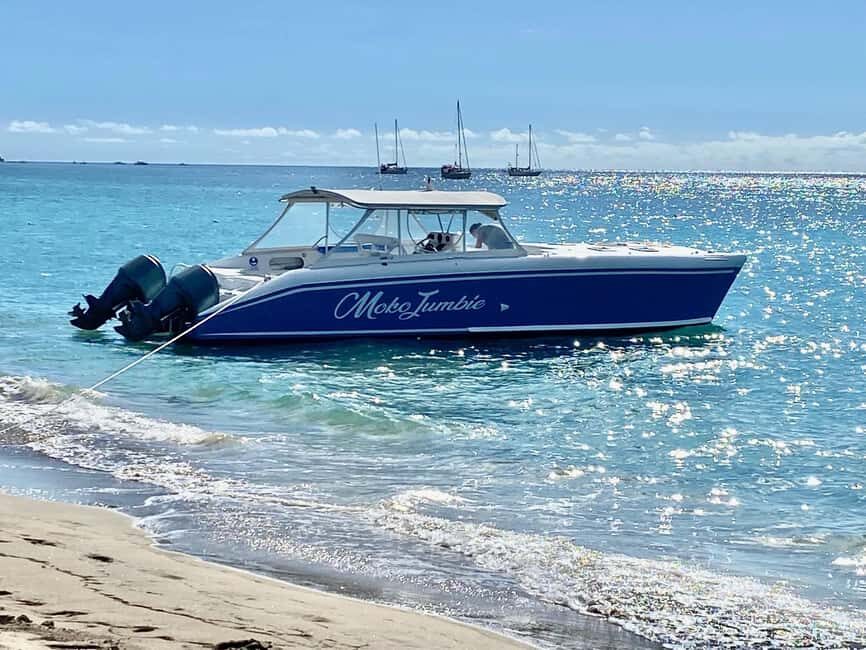 PRIVATE POWER CATAMARAN - Who Is This Tour Best For?