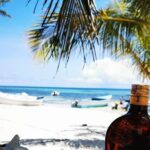 Private Puerto Plata Food Tour and Beach Chillout - The Itinerary: A Closer Look at What You’ll Experience