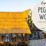 Private: Punta Cana: El Dorado Water Park Entry with Lunch - How the Itinerary Unfolds