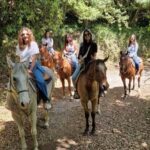 Private: Punta Cana: Horseback Riding Tour with Sunset - Final Thoughts: Who Will Love This Tour?