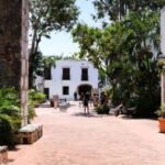 Private: Punta Cana Santo Domingo Day Trip with Lunch - Is This Tour Worth It?