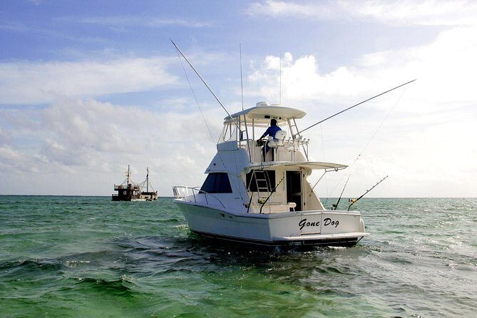 Private Punta Cana Six Hour Fishing Charter - Setting the Scene: What You Can Expect on the Trip