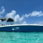 Private Rose Island Half Day Tour with Swimming Pigs and Turtles - How Does It Compare to Other Options?