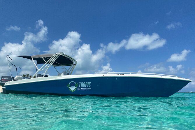 Private Rose Island Half Day Tour with Swimming Pigs and Turtles - How Does It Compare to Other Options?