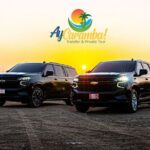 Private Round-Trip Airport Transfers Aruba - Deep Dive into the Itinerary and Service Features