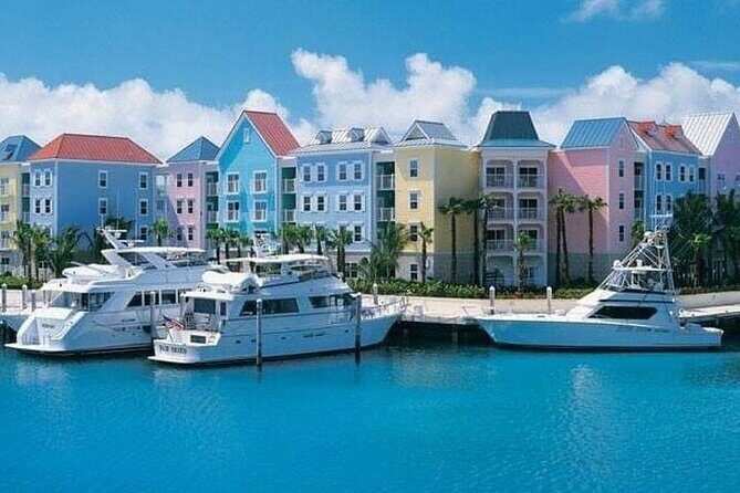 Private Roundtrip Minibus Transfer to Paradise Island - The Ideal Traveler for This Service