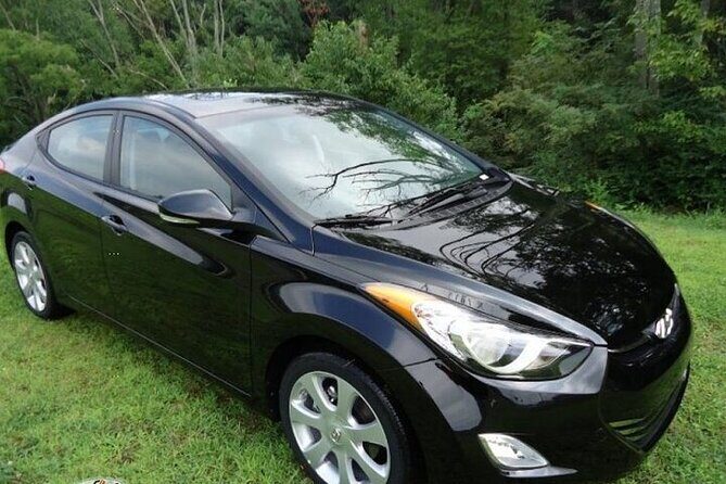 Private Roundtrip Sedan Airport Transfer to Palm Cay - Detailed Review of the Experience