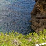 Private: Samana Adventure Cayo Levantado Kayak Snorkel Tour - Who Should Consider This Tour?