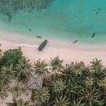 Private: Samaná Whale & Cayo Levantado Luxury Day Trip - The Sum Up