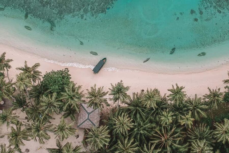 Private: Samaná Whale & Cayo Levantado Luxury Day Trip - The Sum Up