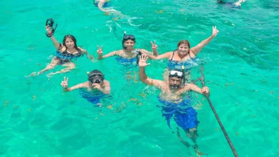 Private: Saona Island Day Trip with Lunch & Drinks - The Itinerary Breakdown: What to Expect