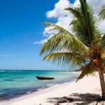 Private: Saona Island Premium & Mano Juan Day Escape - Practical Details and What It Means for You