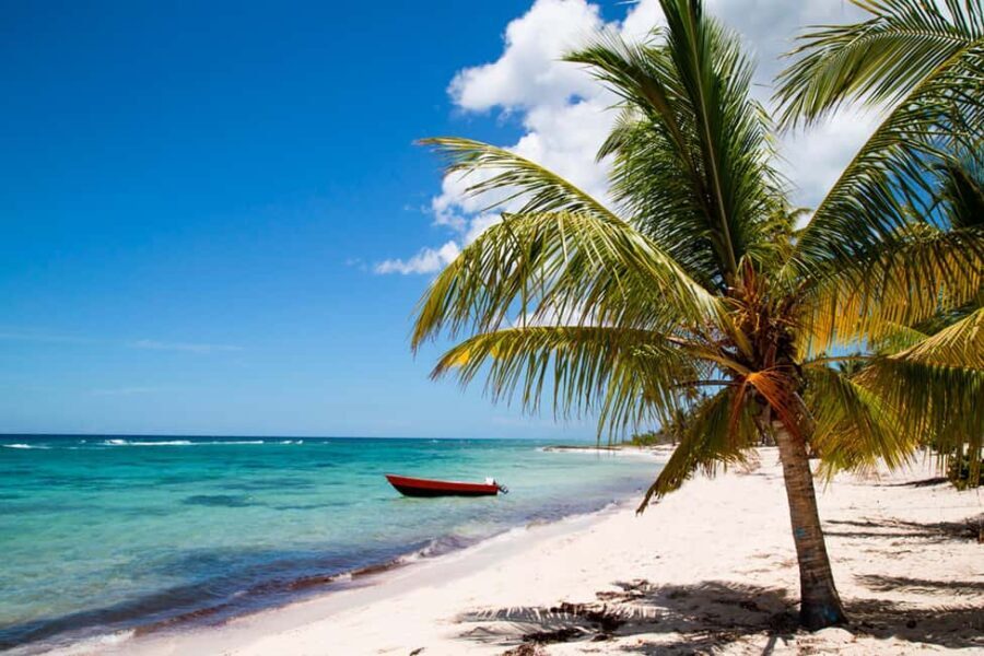 Private: Saona Island Premium & Mano Juan Day Escape - Practical Details and What It Means for You