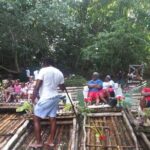 Private Sightseeing Tour in & Around Ocho Rios - Who Will Love This Tour?