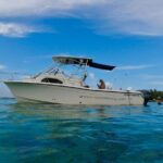 Private Snorkeling Adventure in Puerto Rico's Natural Reserve - Who Would Love This Tour?